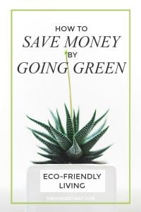5 Ways to Save Money Going Green - That You Can Try Today!