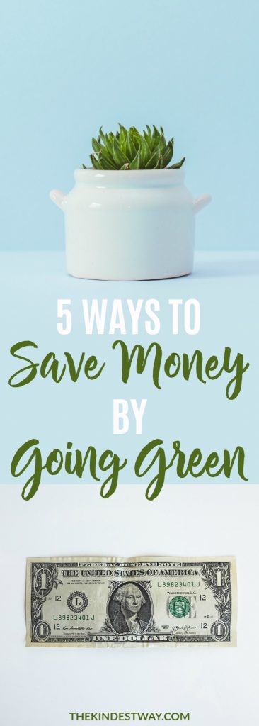 5 Ways to Save Money Going Green - That You Can Try Today!