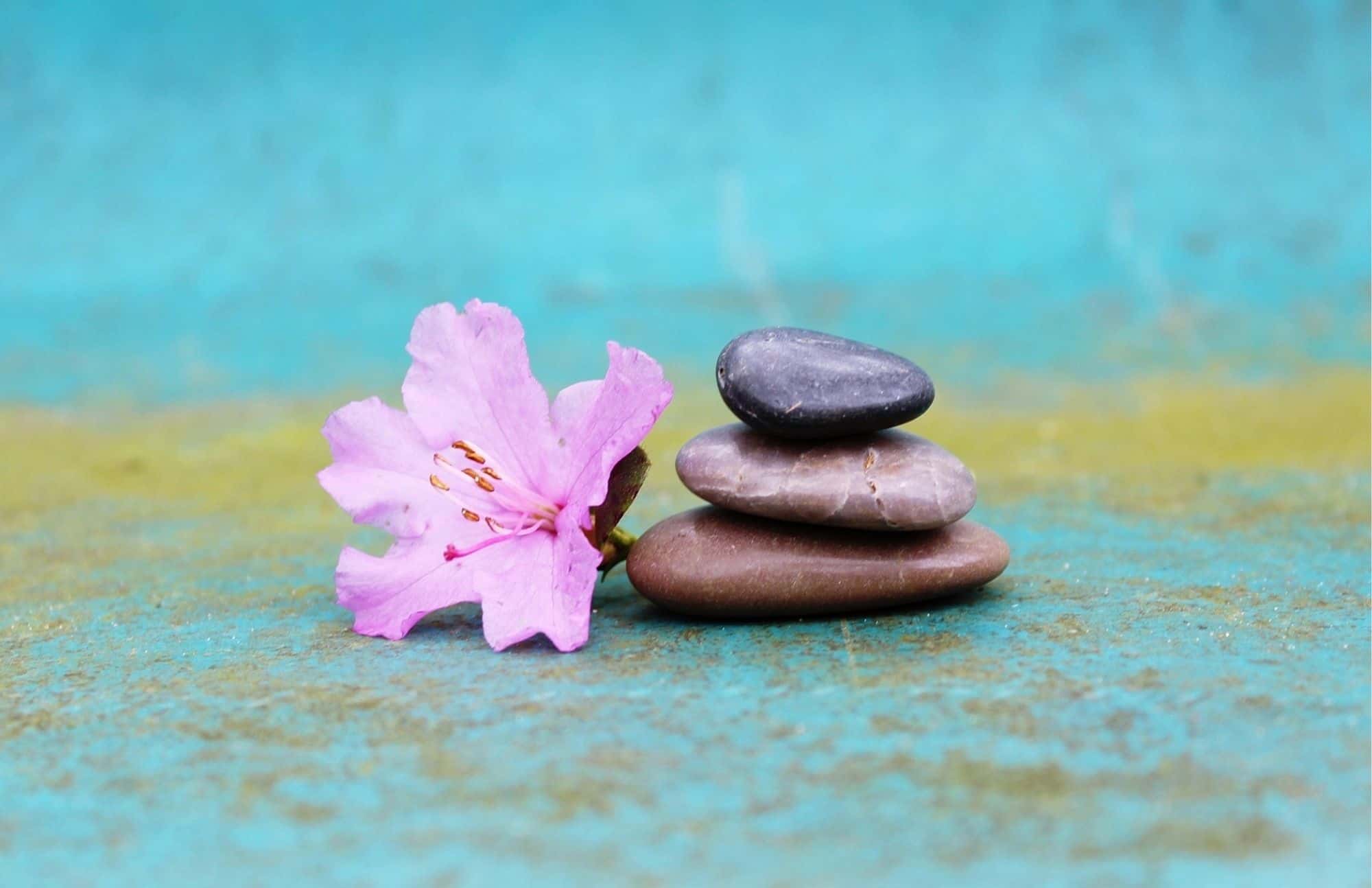 5 Ways to Create a Peaceful Meditation Space - The Kindest Way