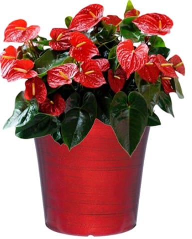 A Spring Themed Front Porch - The Kindest Way